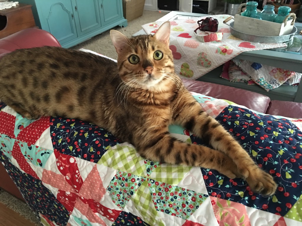 Little Ruby Quilt Along – Finished Quilt