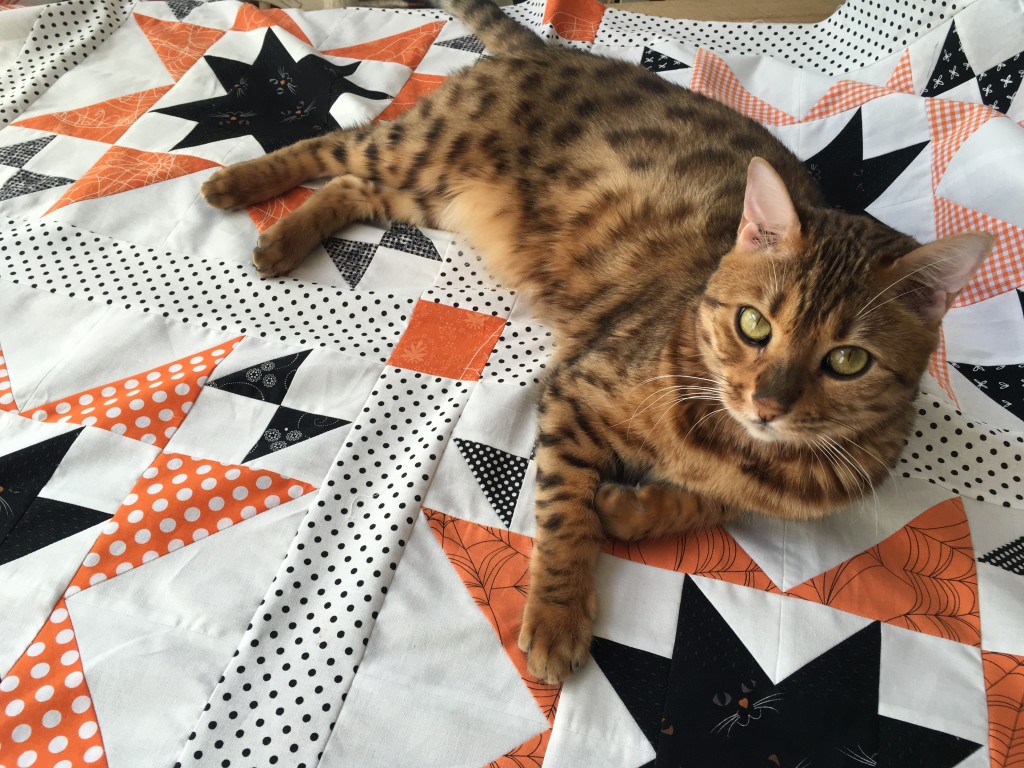 October Stars Quilt Pattern