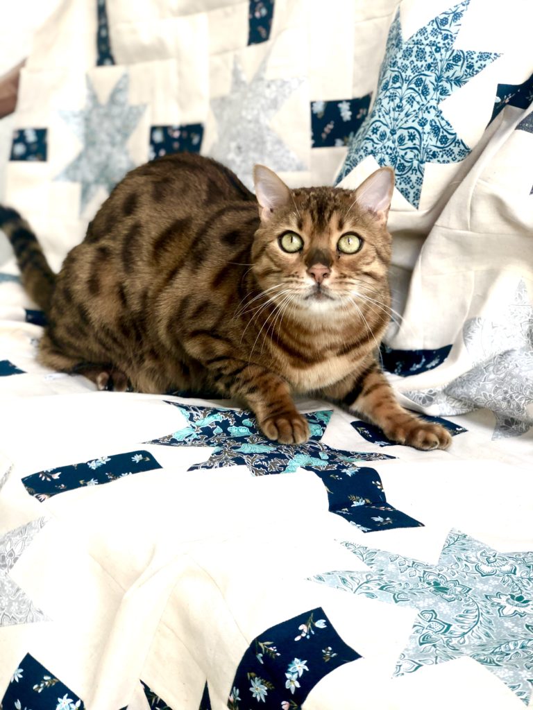 Regent Street Quilt Pattern